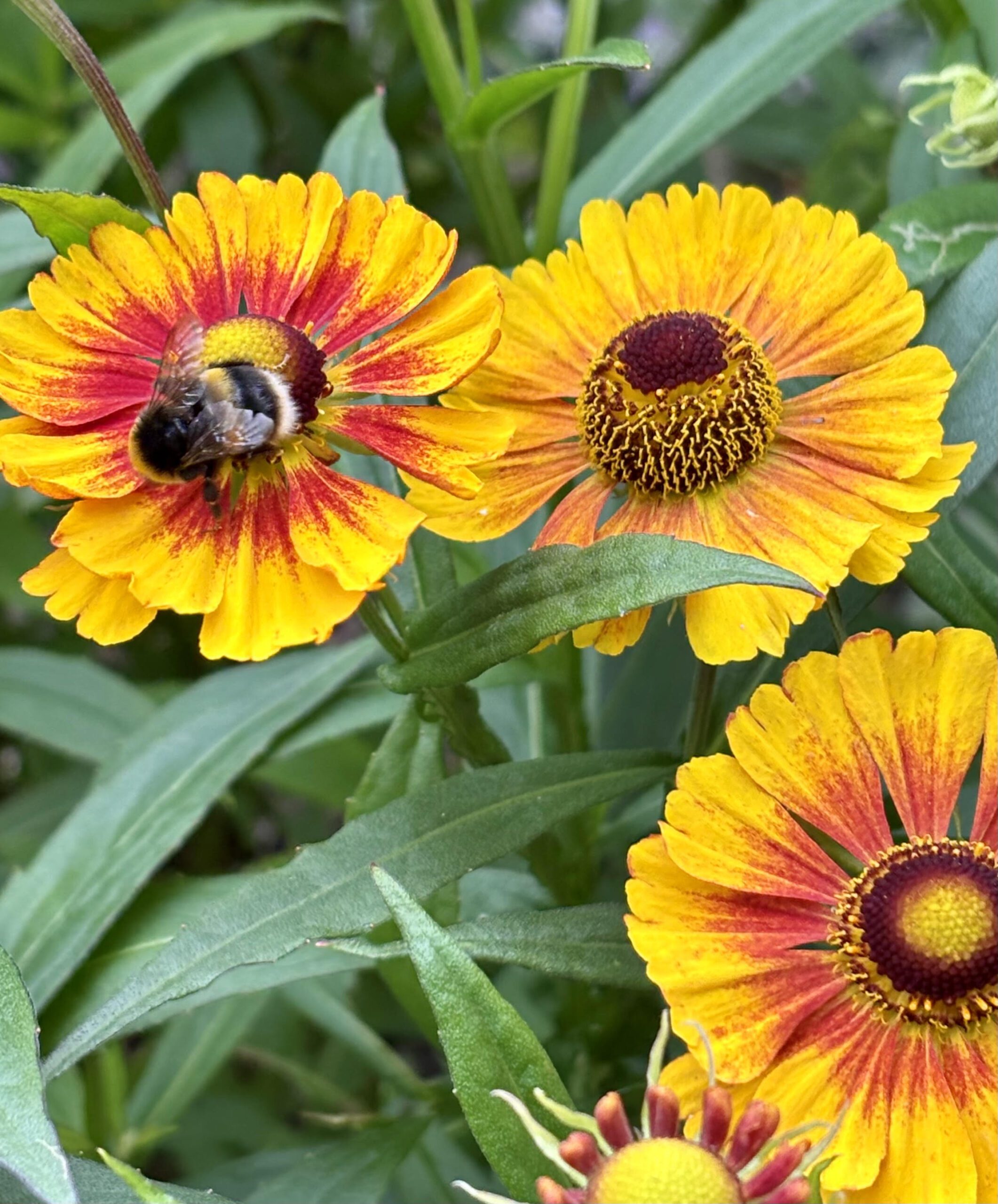 Season of Creation 2025 - Nature Photography Contest - St. Margaret's ...